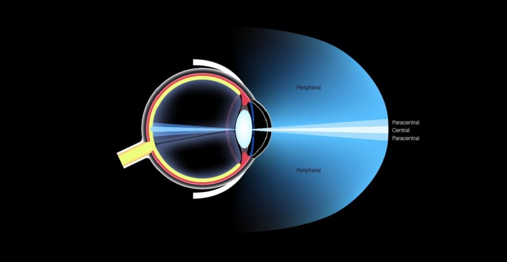 Visión periférica: Auscultando el entorno competitivo - Clase Ejecutiva UC